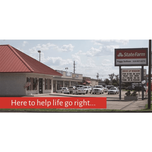 Peggy Sullivan - State Farm Insurance Agent - Monroe, LA 71201