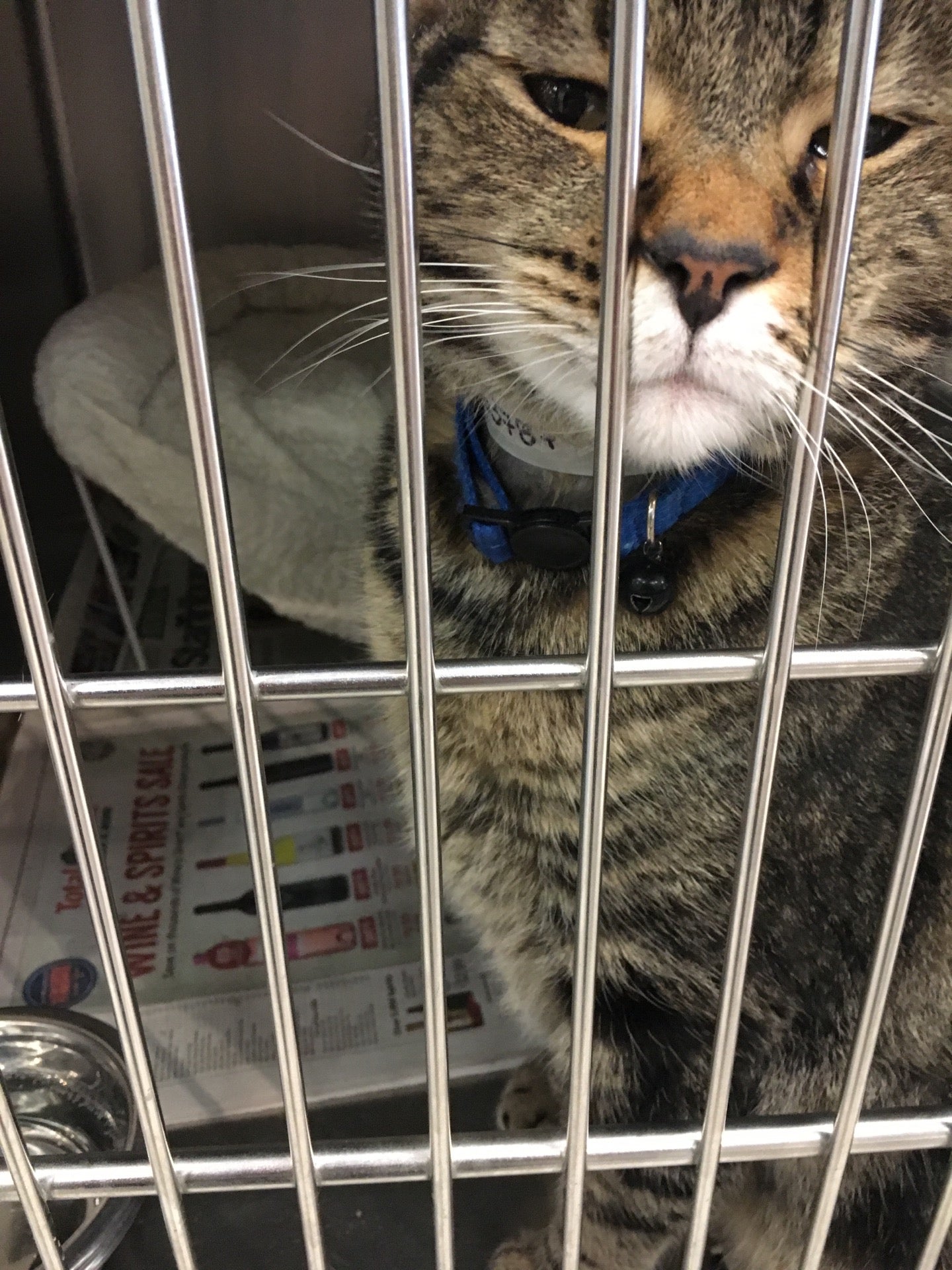 Animal Humane Society - Minneapolis, MN 55448