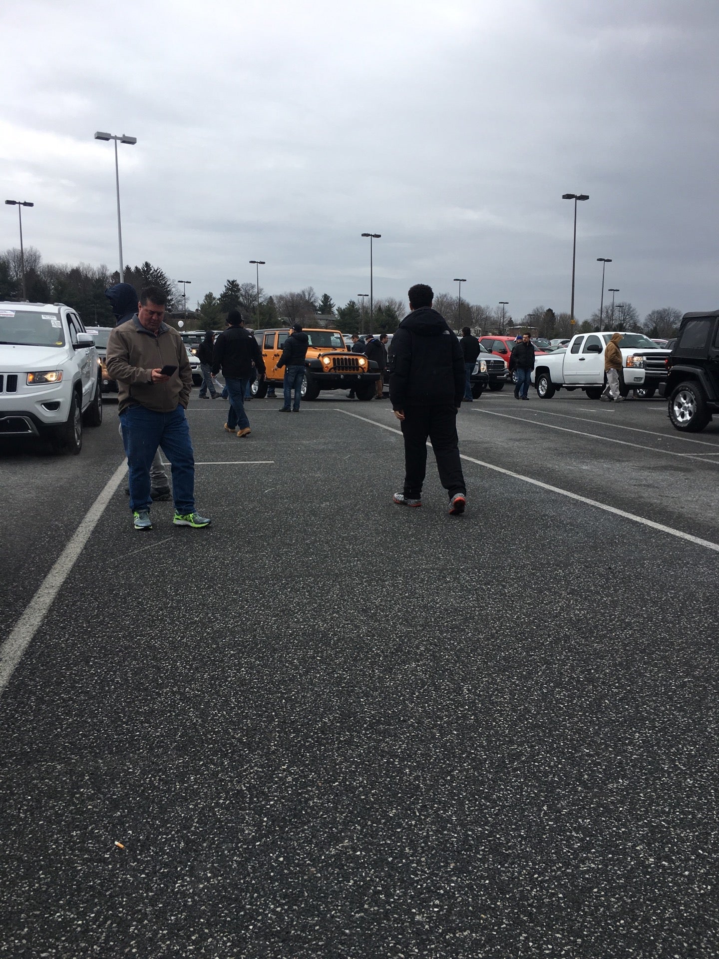 Manheim Auto Auction - Manheim, PA 17545
