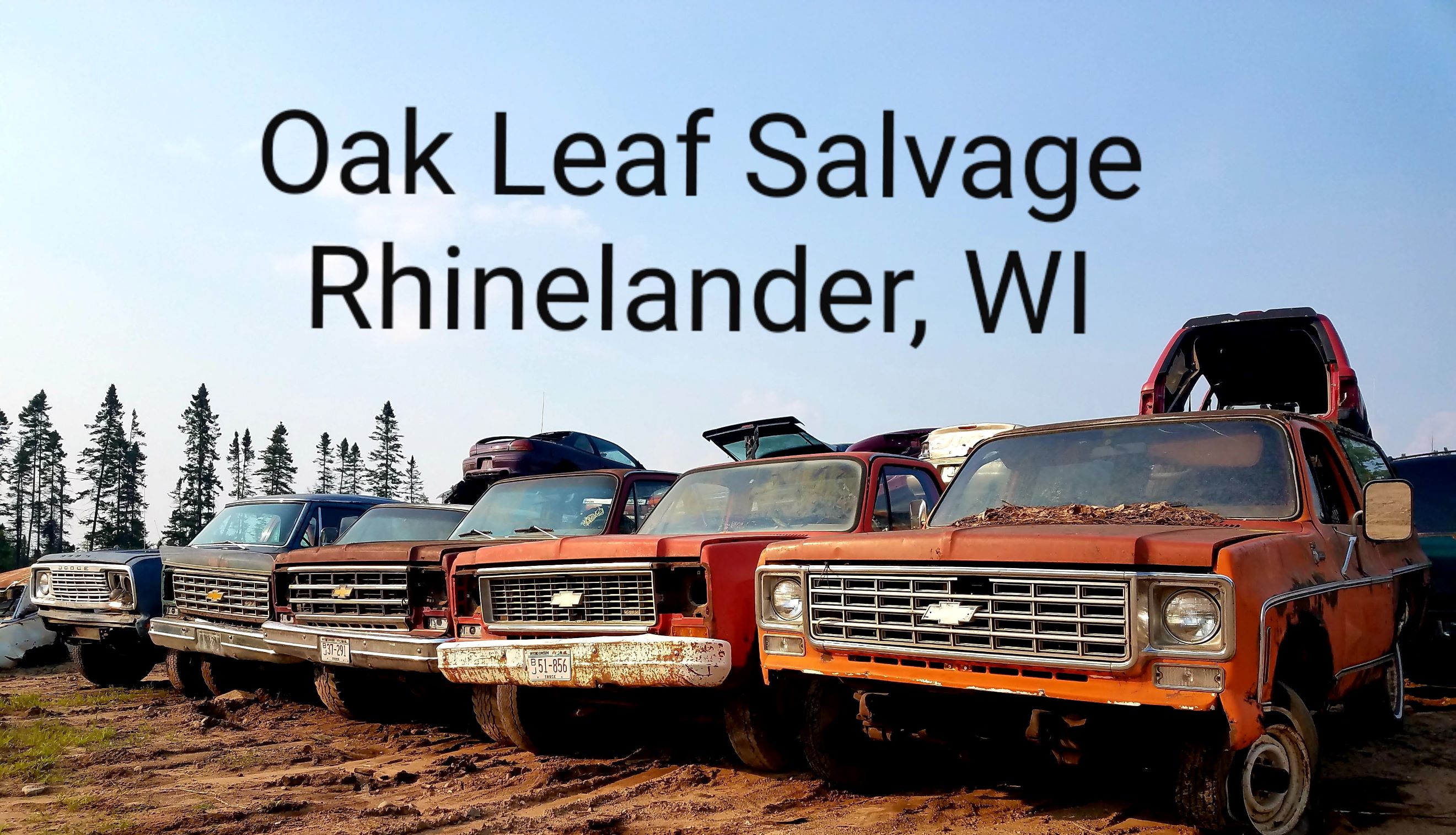 Oak Leaf Auto Salvage LLC - Rhinelander, WI 54501